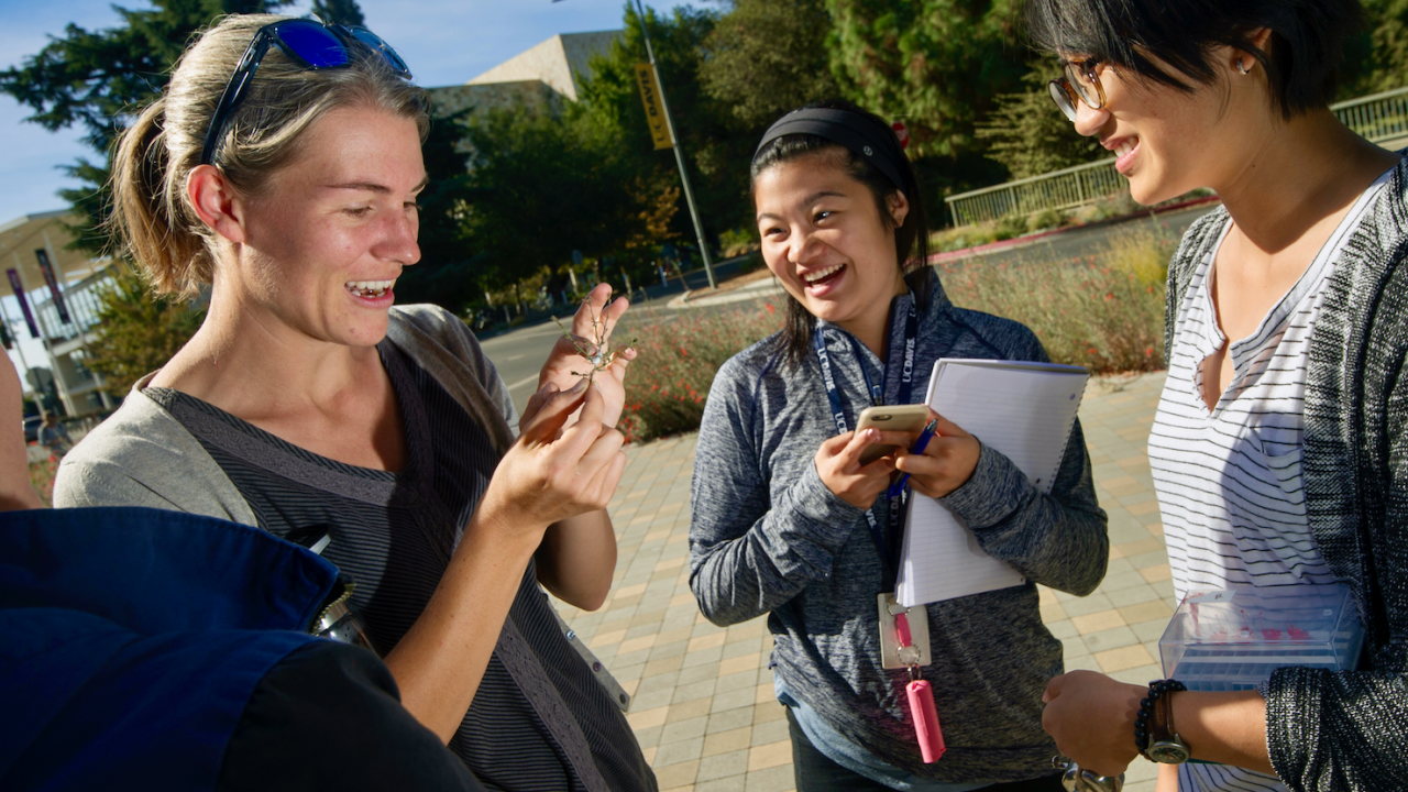 Live Sites | SiteFarm